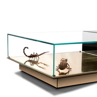 METAMORPHOSIS CENTER TABLE – My Object of Desire